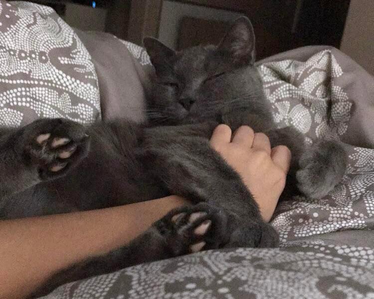 Loungin with them tiny beans | Scrolller