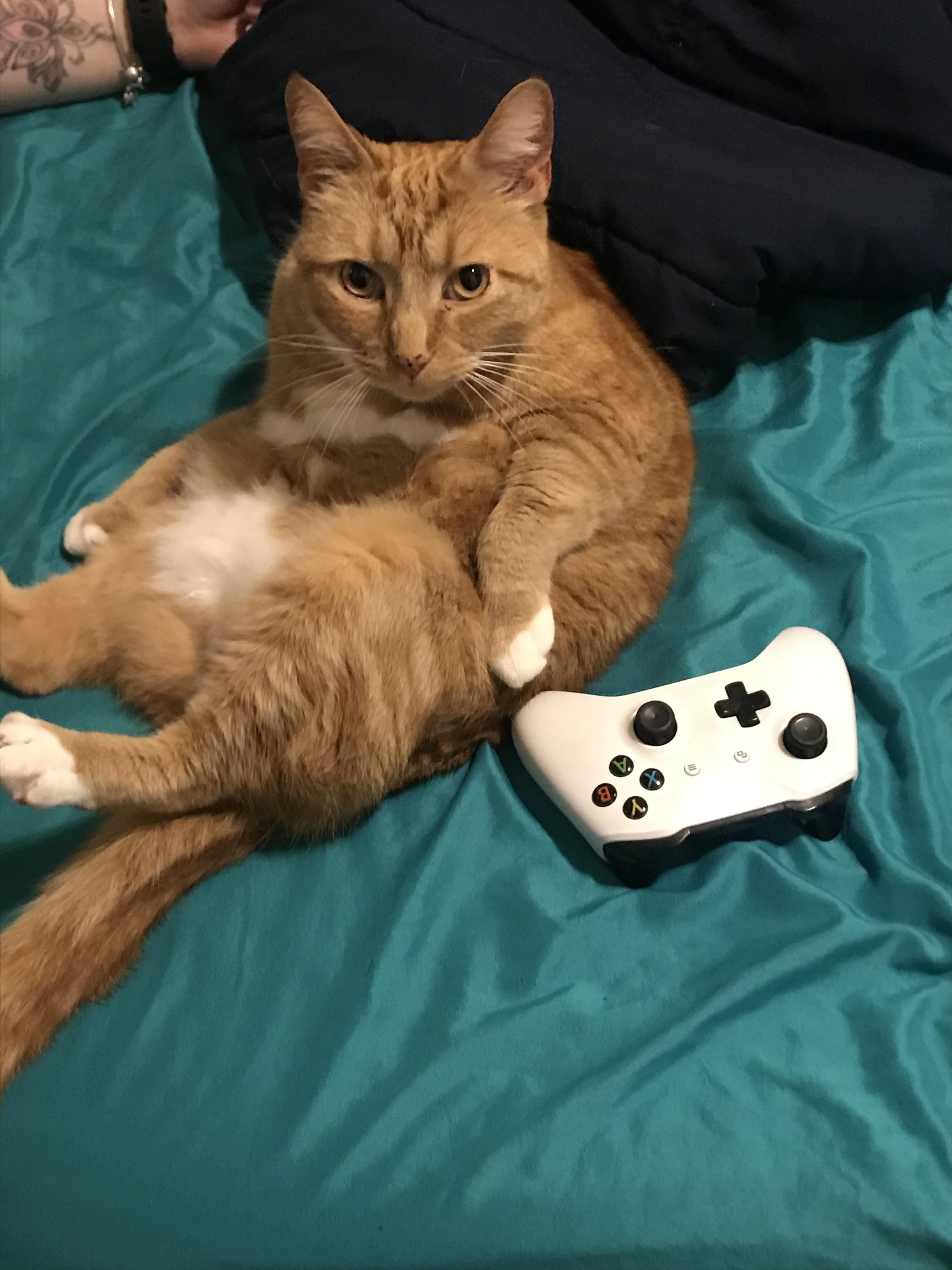 Lounging with my boy Butters. | Scrolller