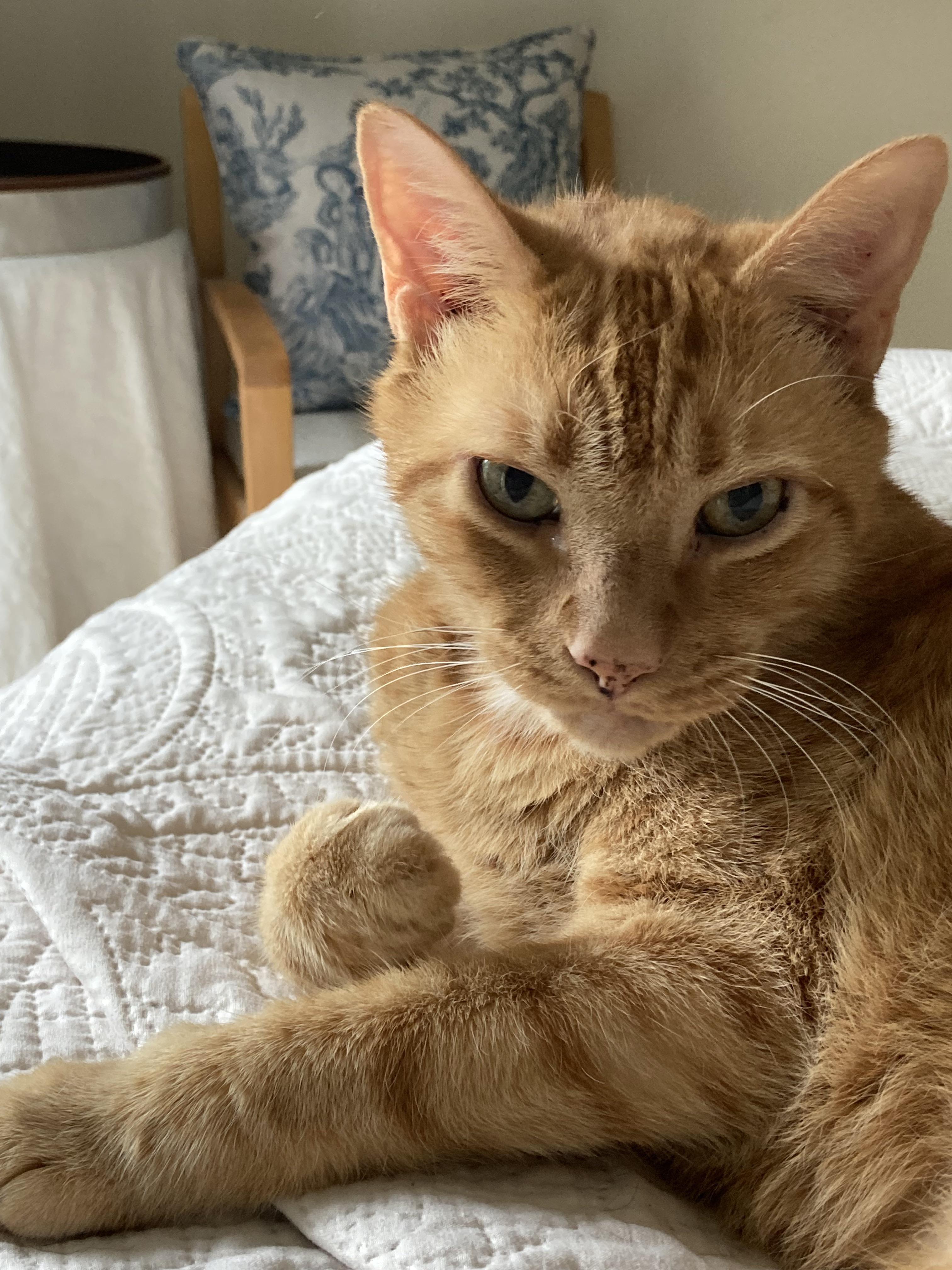 Love His Spotty Little Nose | Scrolller