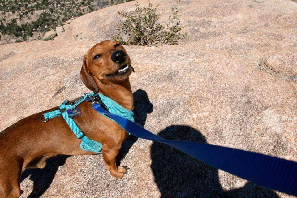 Love me them hikes | Scrolller