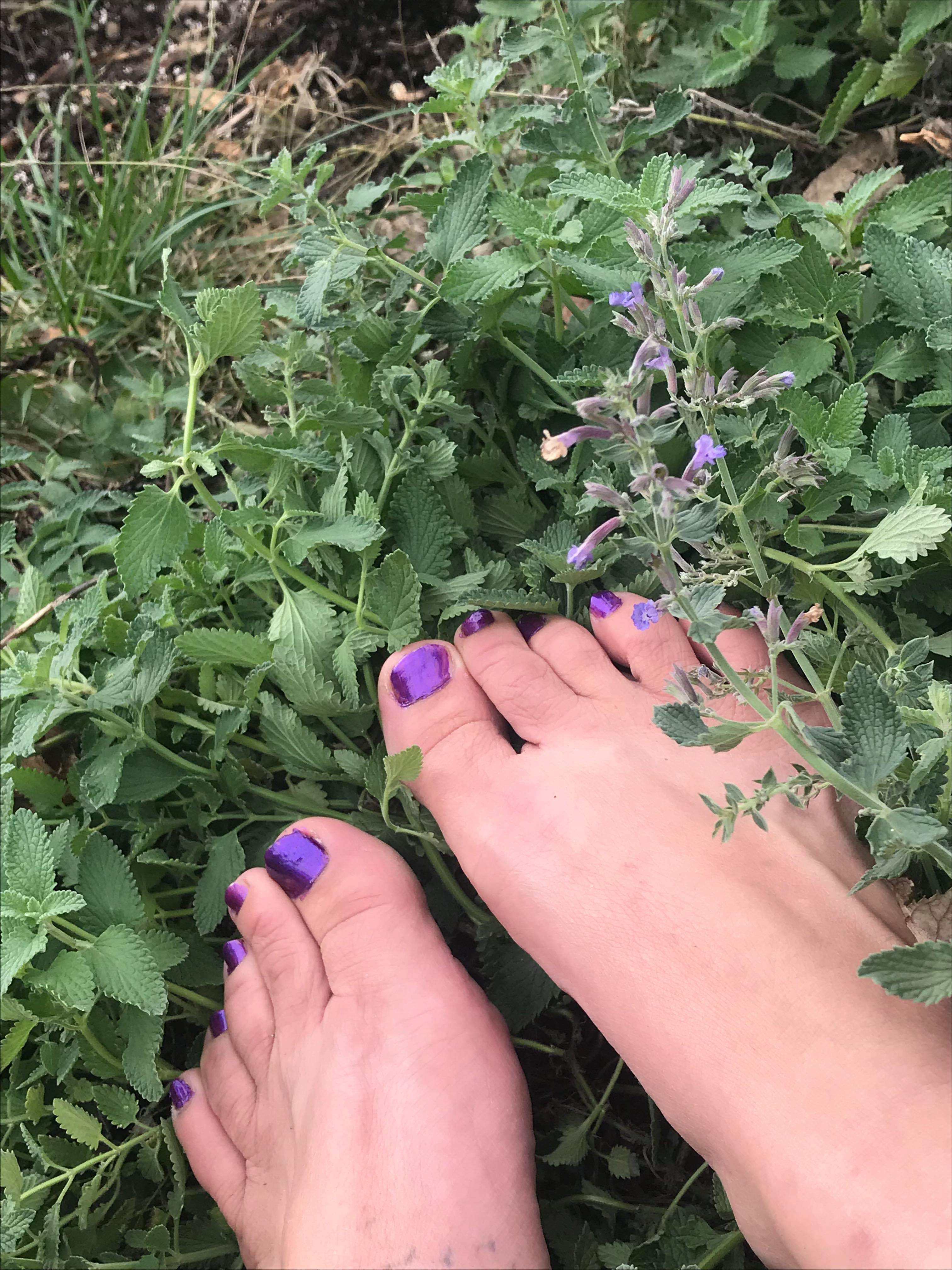 Love My Aunts Feet 😈 Scrolller