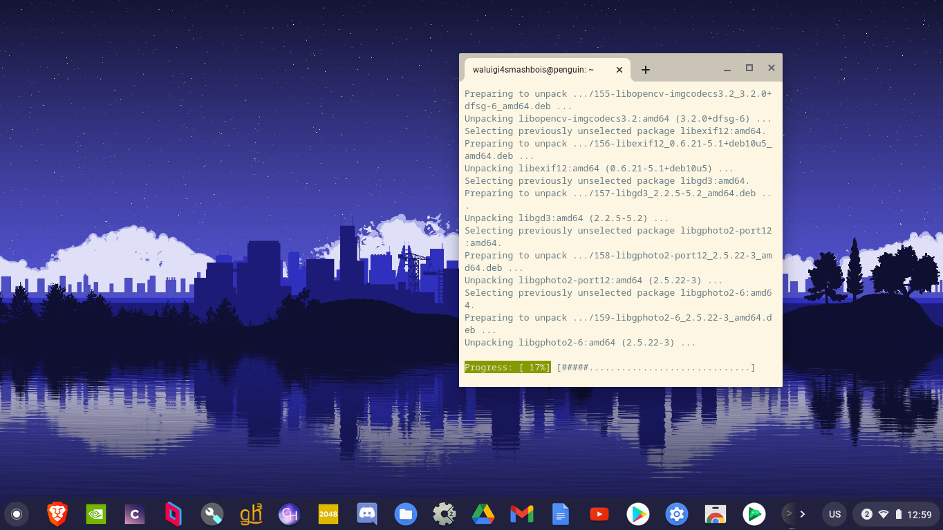 LOVE my chromebook terminal theme | Scrolller