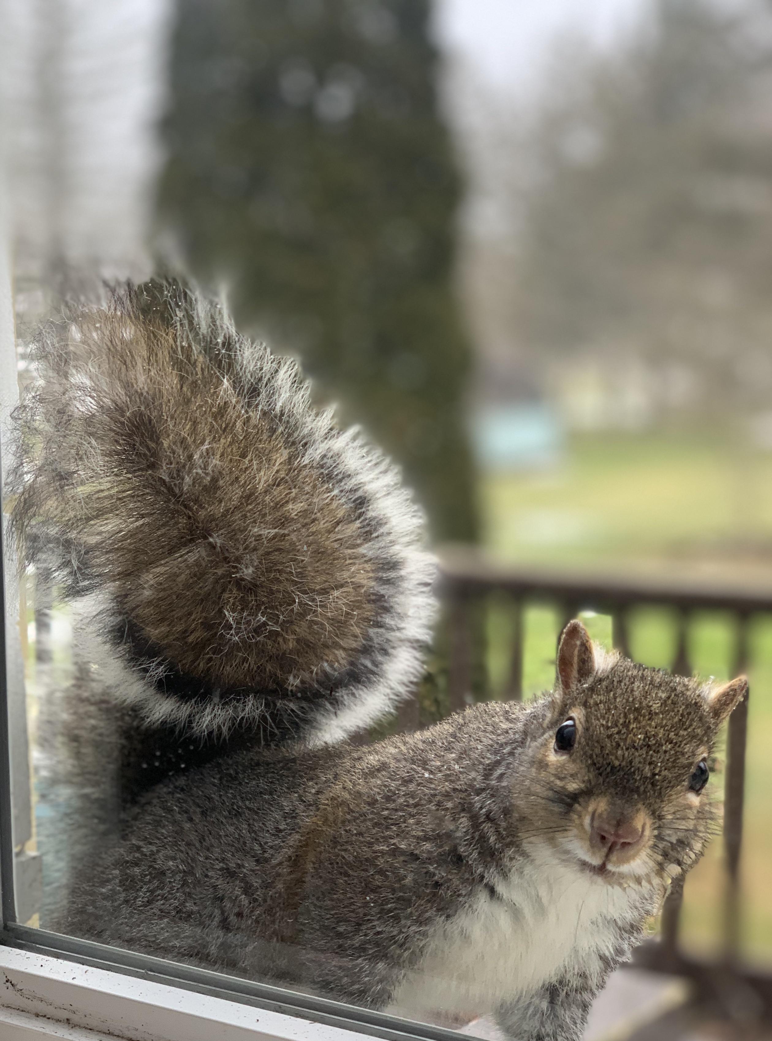 Love my visitors. | Scrolller