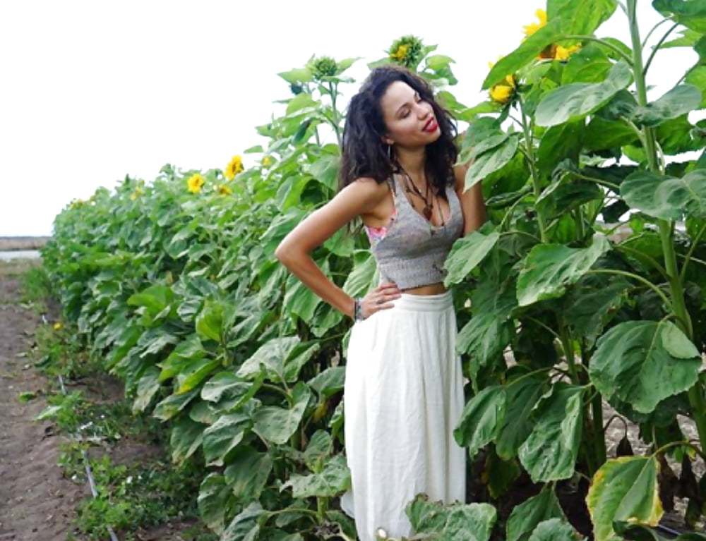 Love the Sunflowers | Scrolller