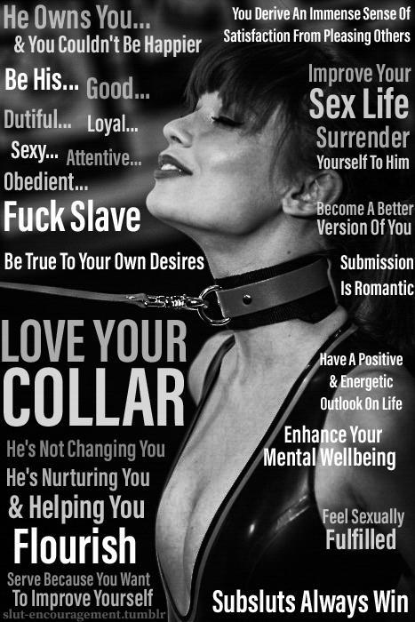 Love Your Collar | Scrolller