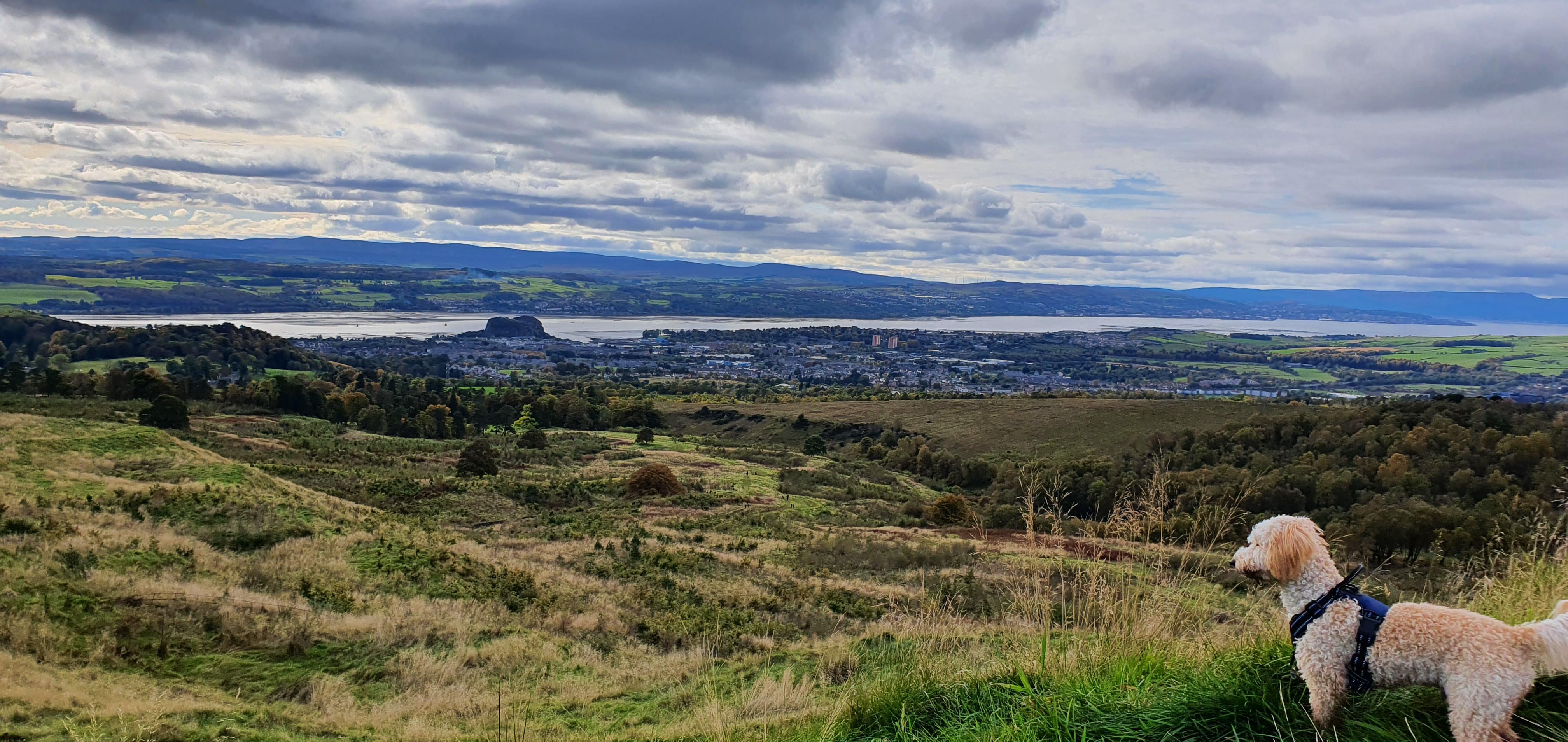 Lovely View From My Hike Scrolller