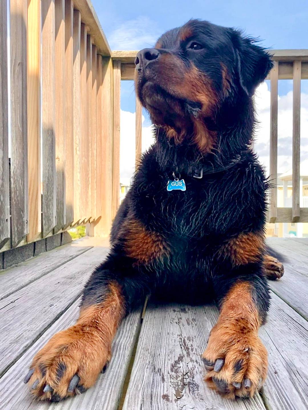 Loving everything about his first beach trip | Scrolller