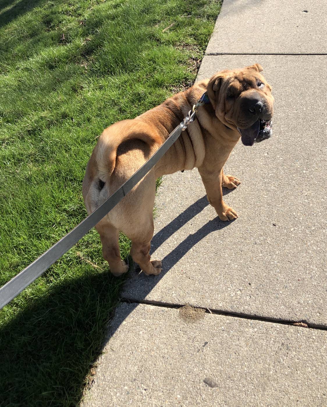 Loving her walk! | Scrolller