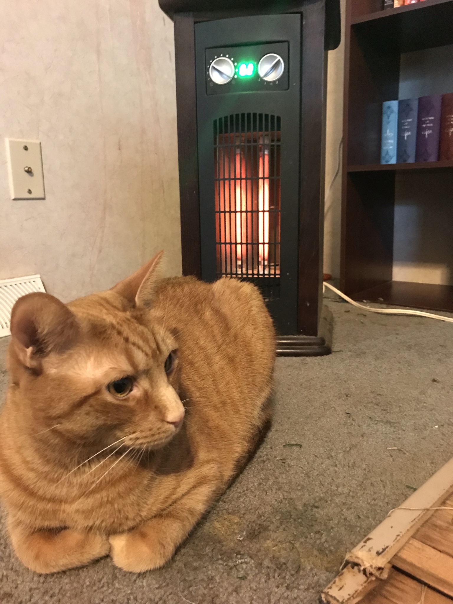 Loving the space heater | Scrolller