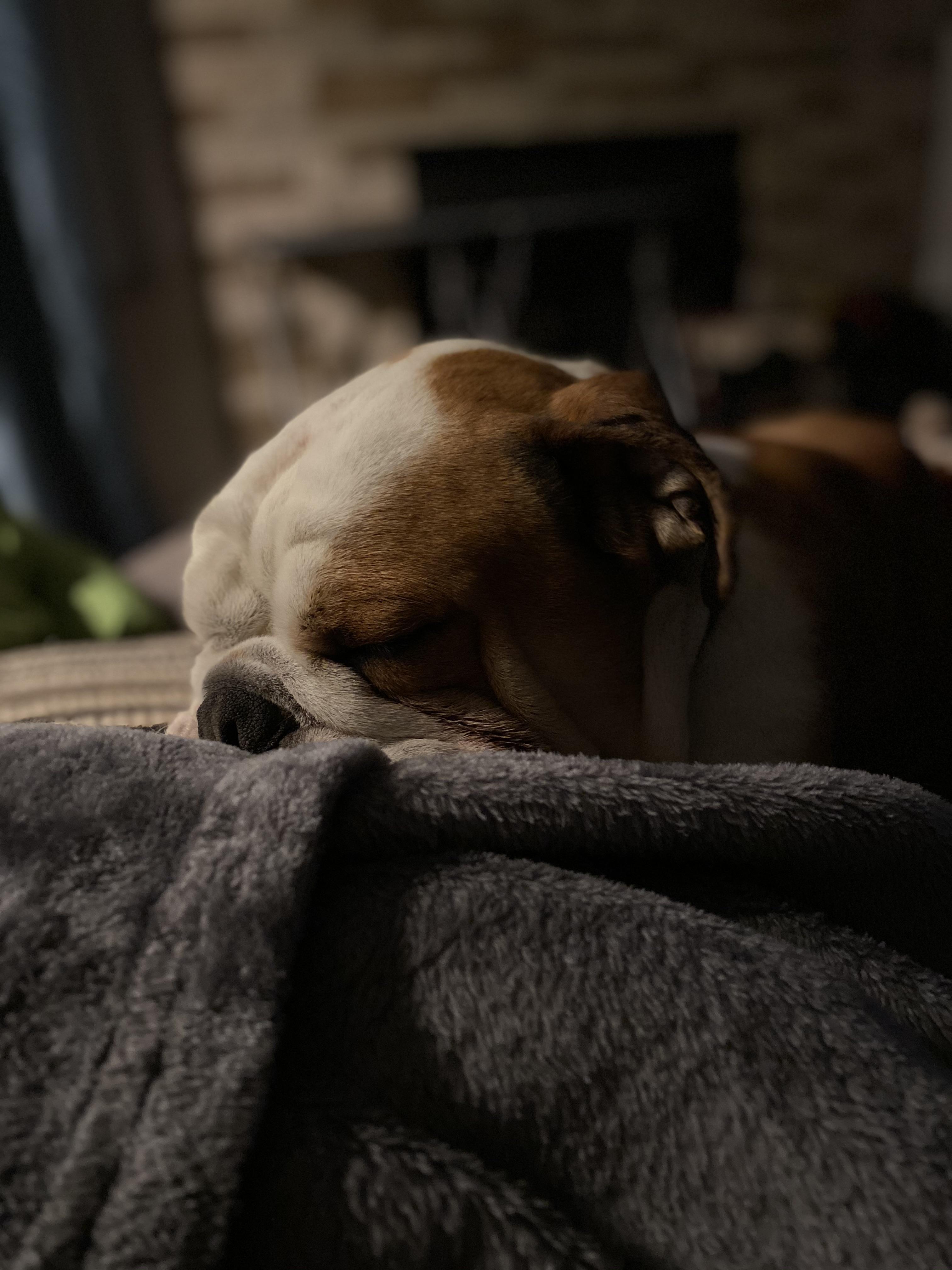 Luke 💙 | Scrolller