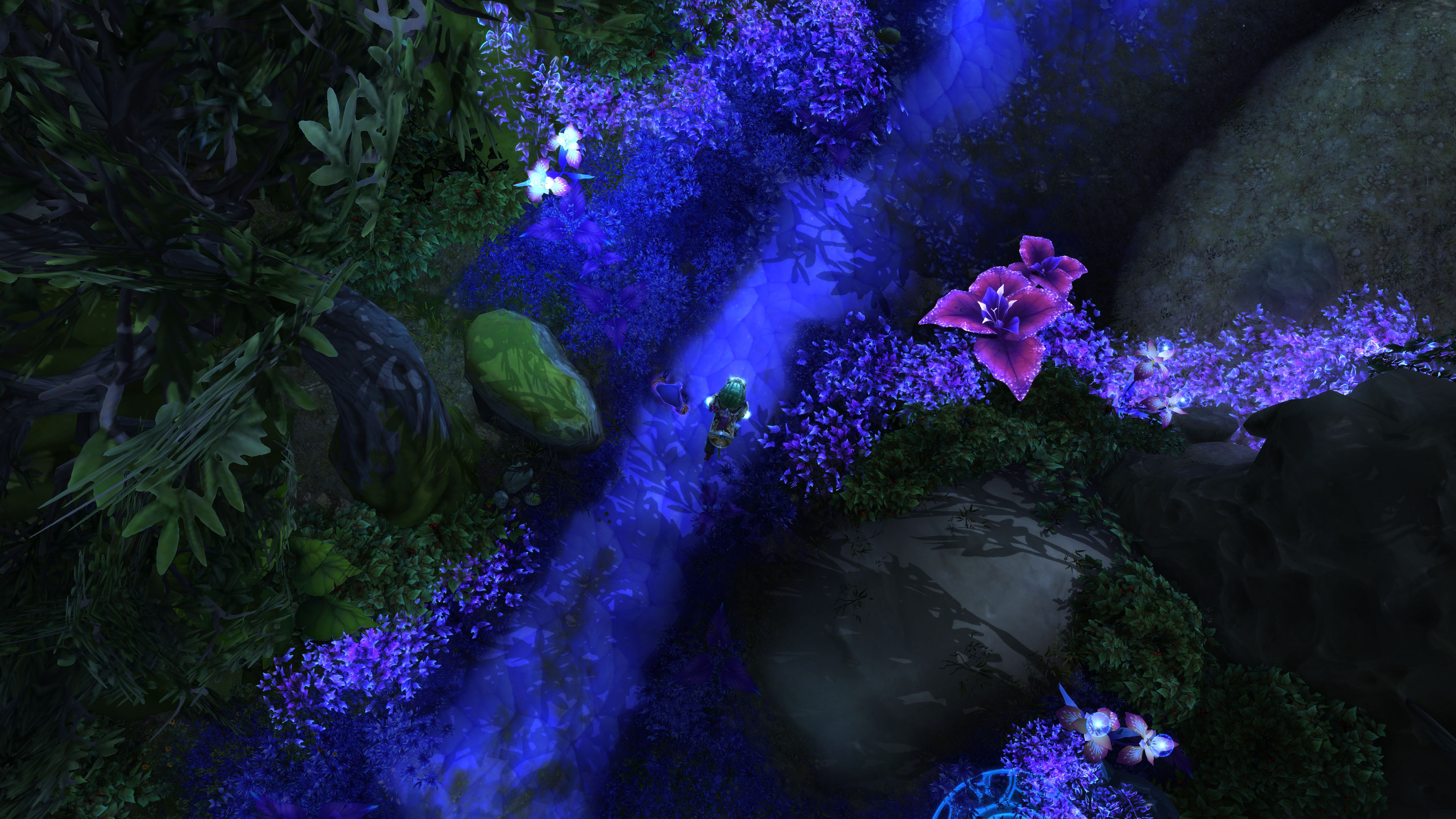 Luminous path (4K) | Scrolller