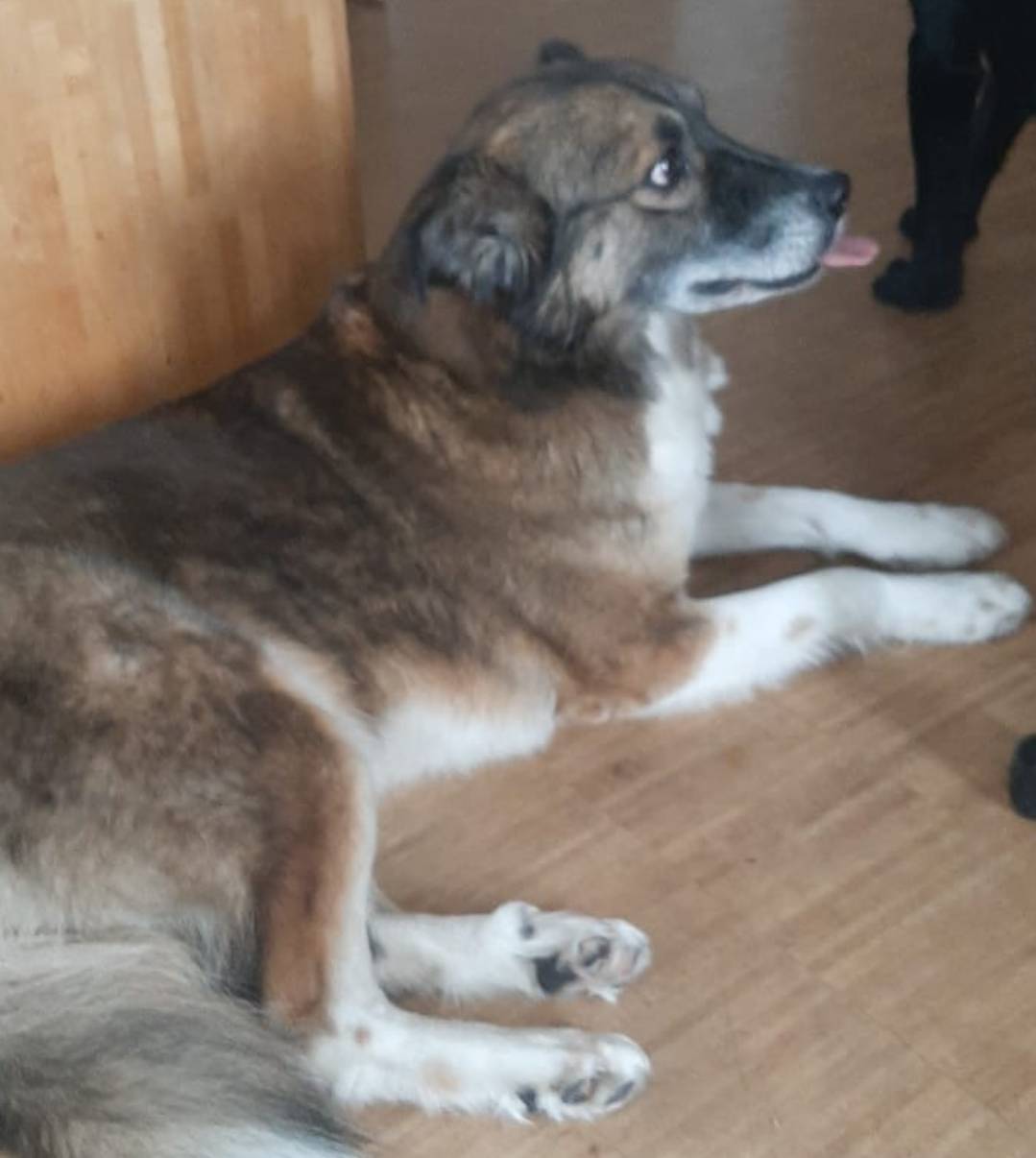 Luna being derpy. | Scrolller