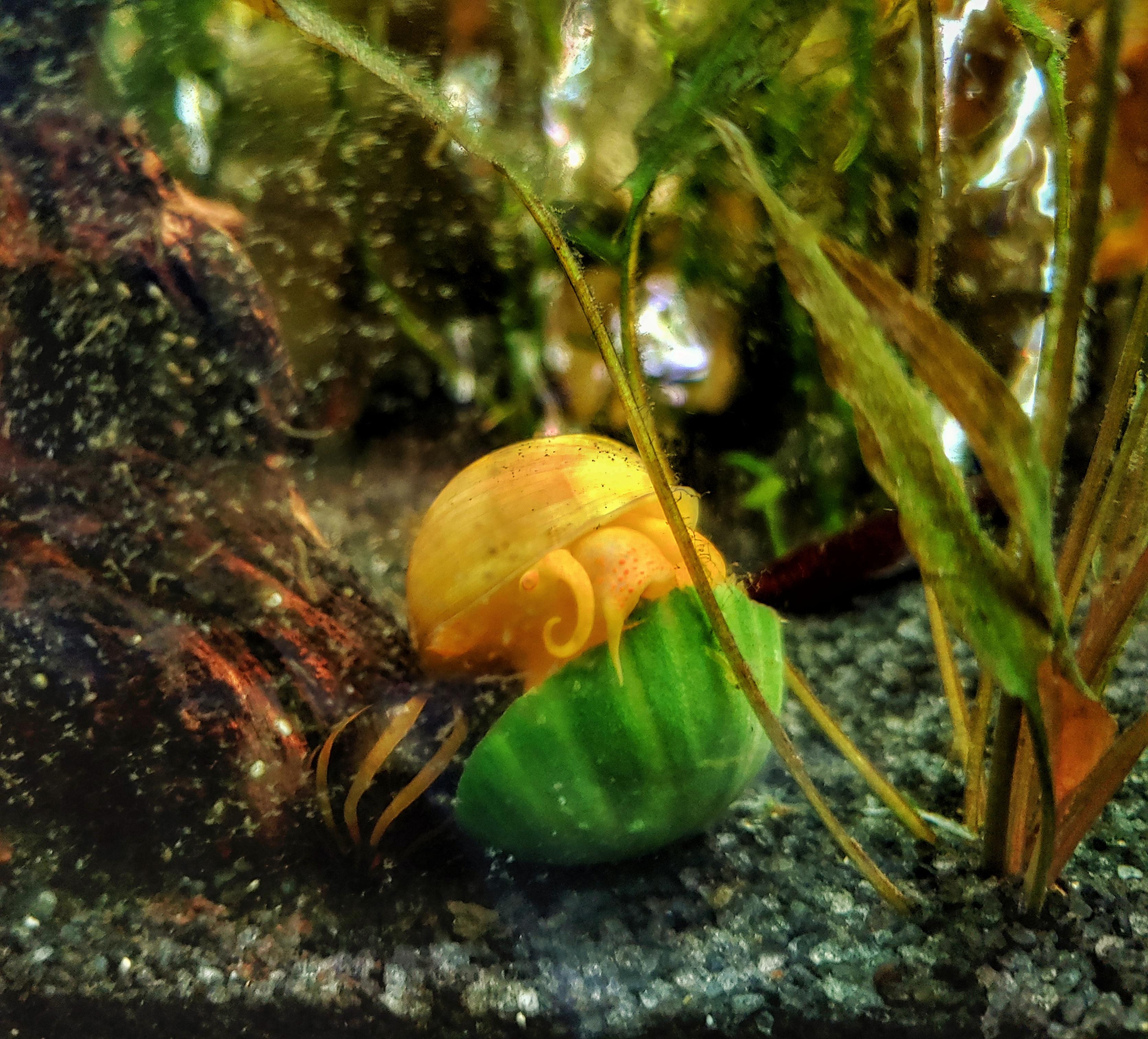 Lunch Is Served Scrolller