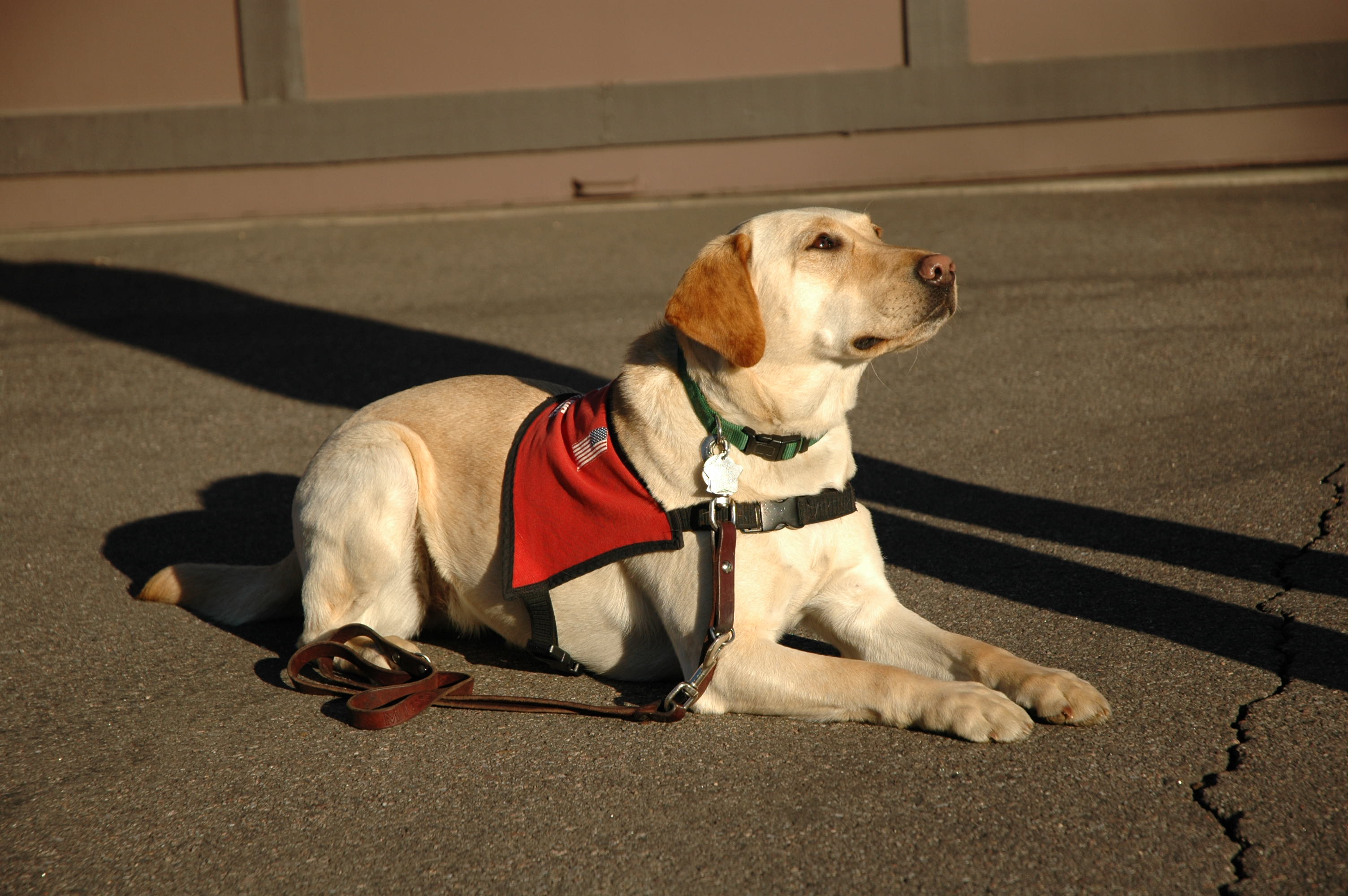 Lying in wait | Scrolller