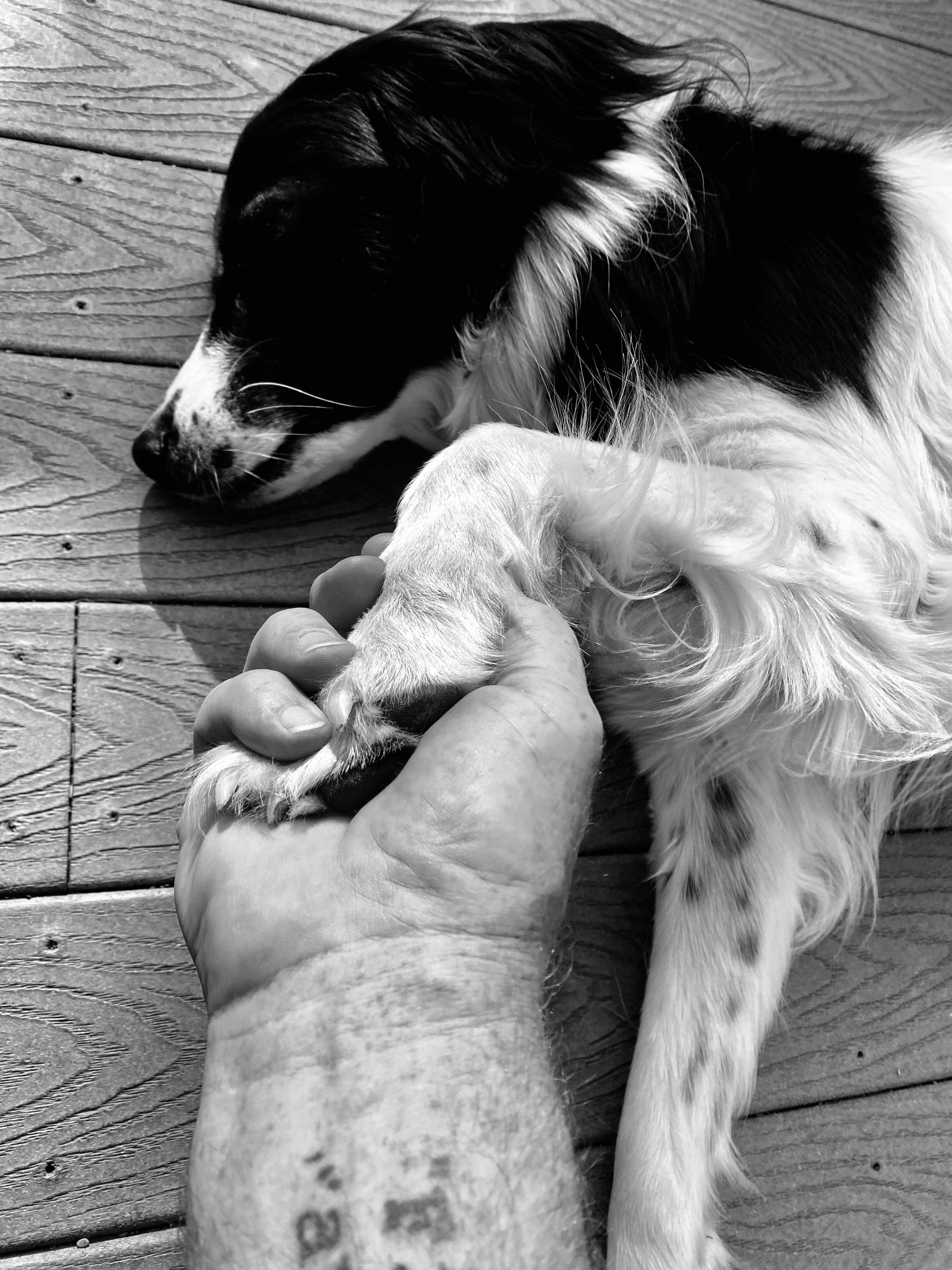 Mabel in a dream | Scrolller