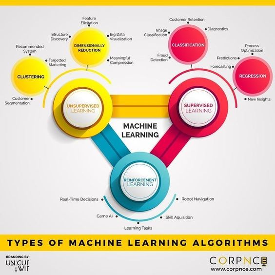 Machine Learning Algorithm | Scrolller