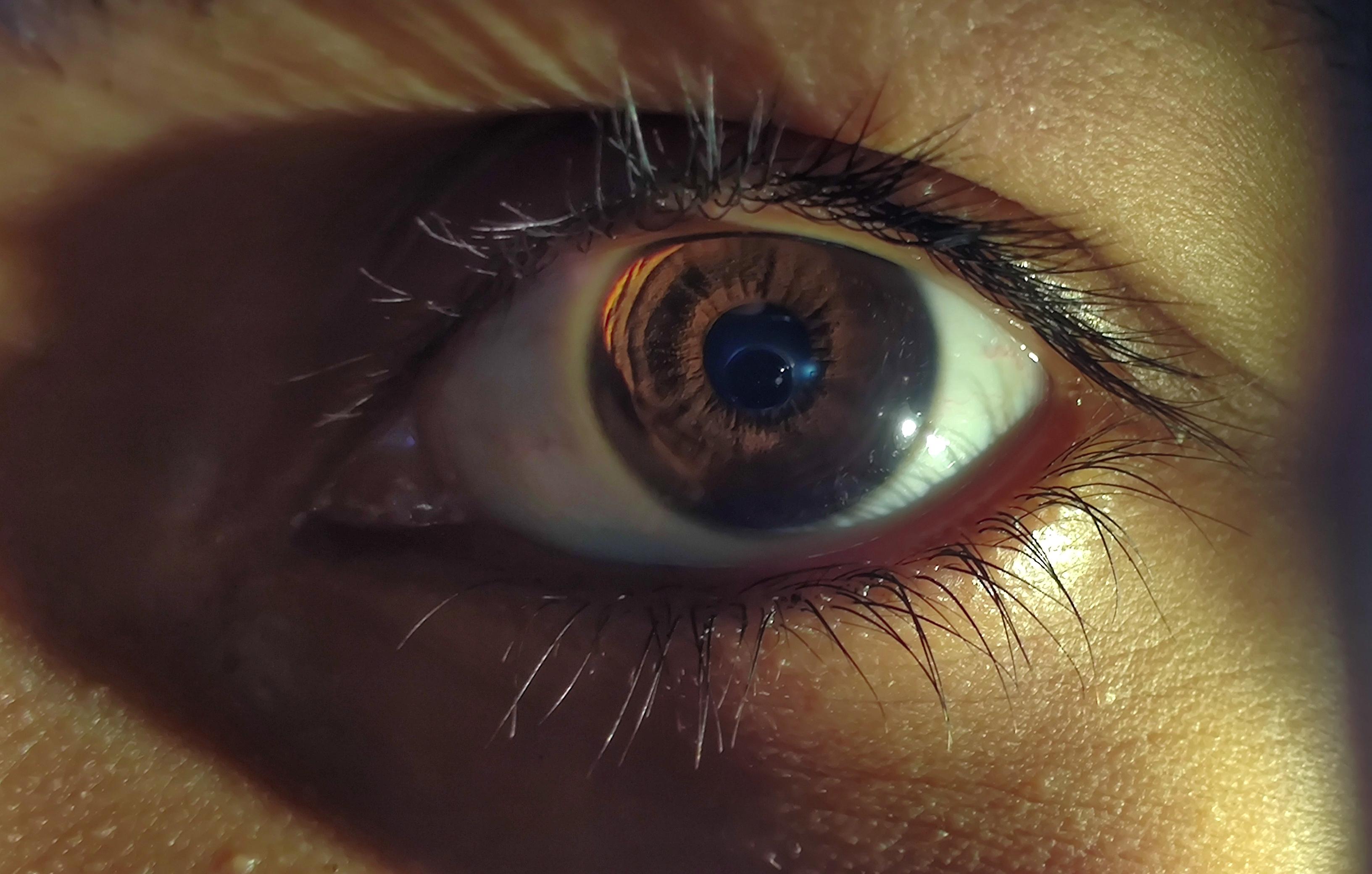 Macro mode | Scrolller