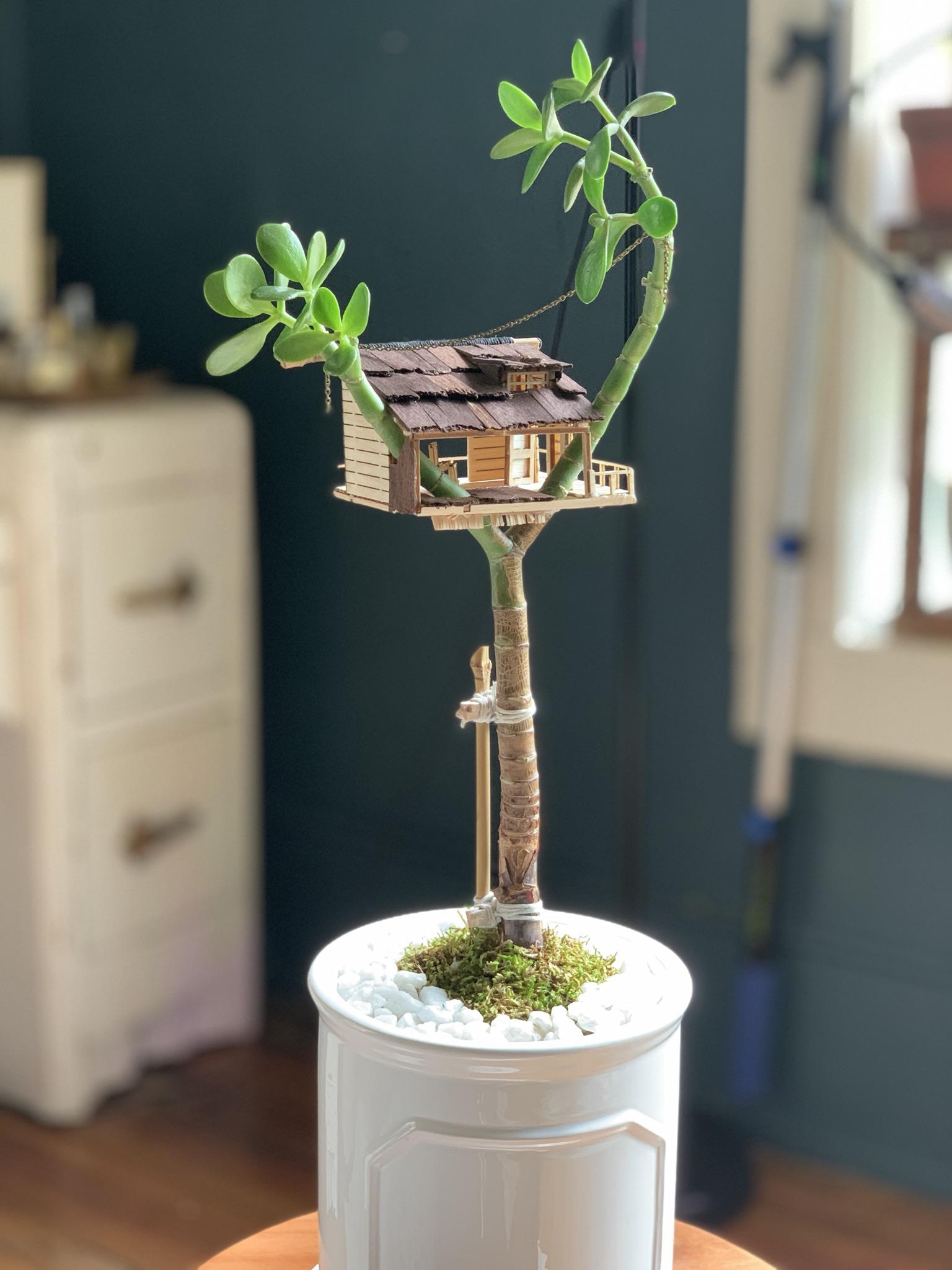 Made a mini treehouse | Scrolller