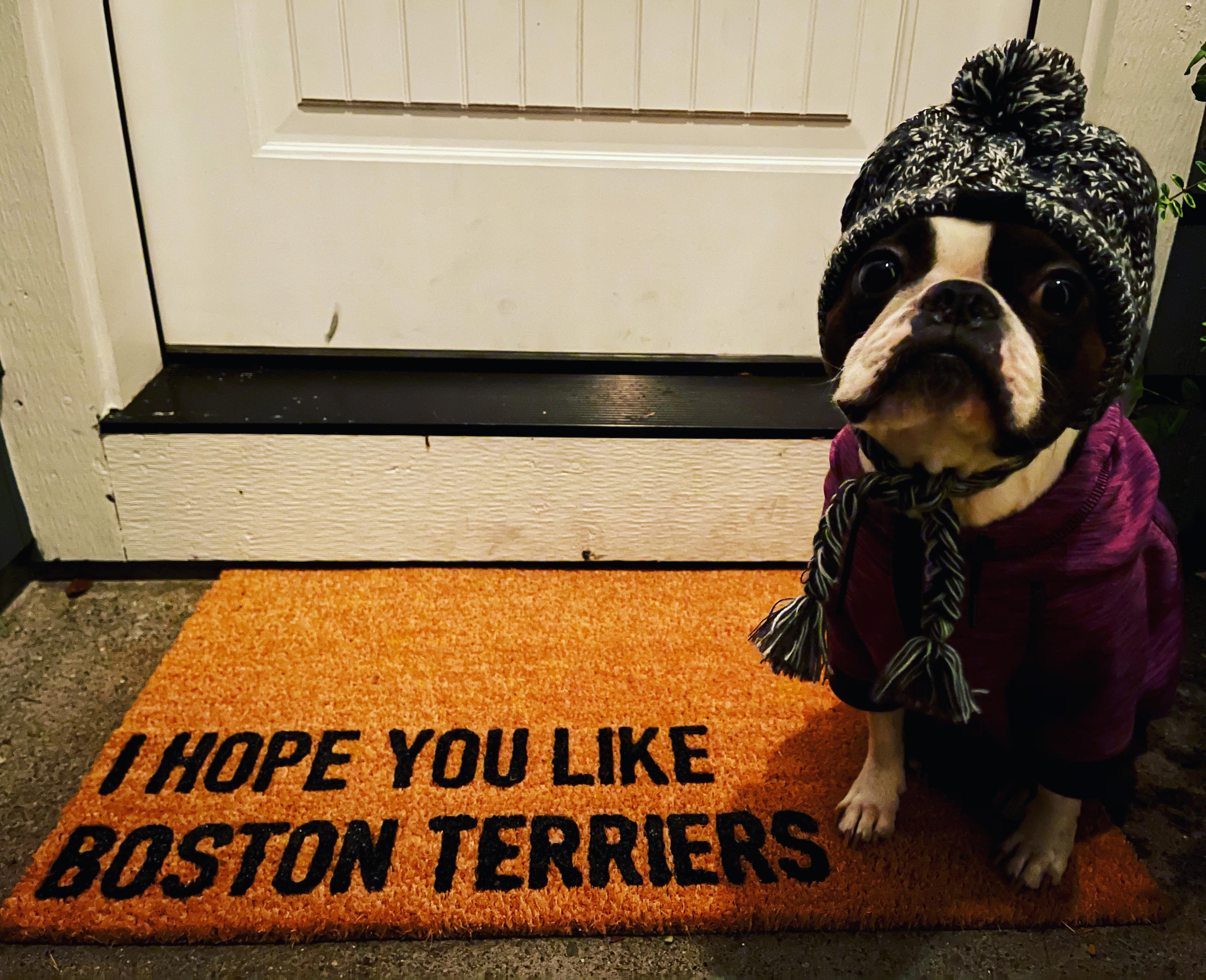 Made myself a new Stella-approved doormat | Scrolller