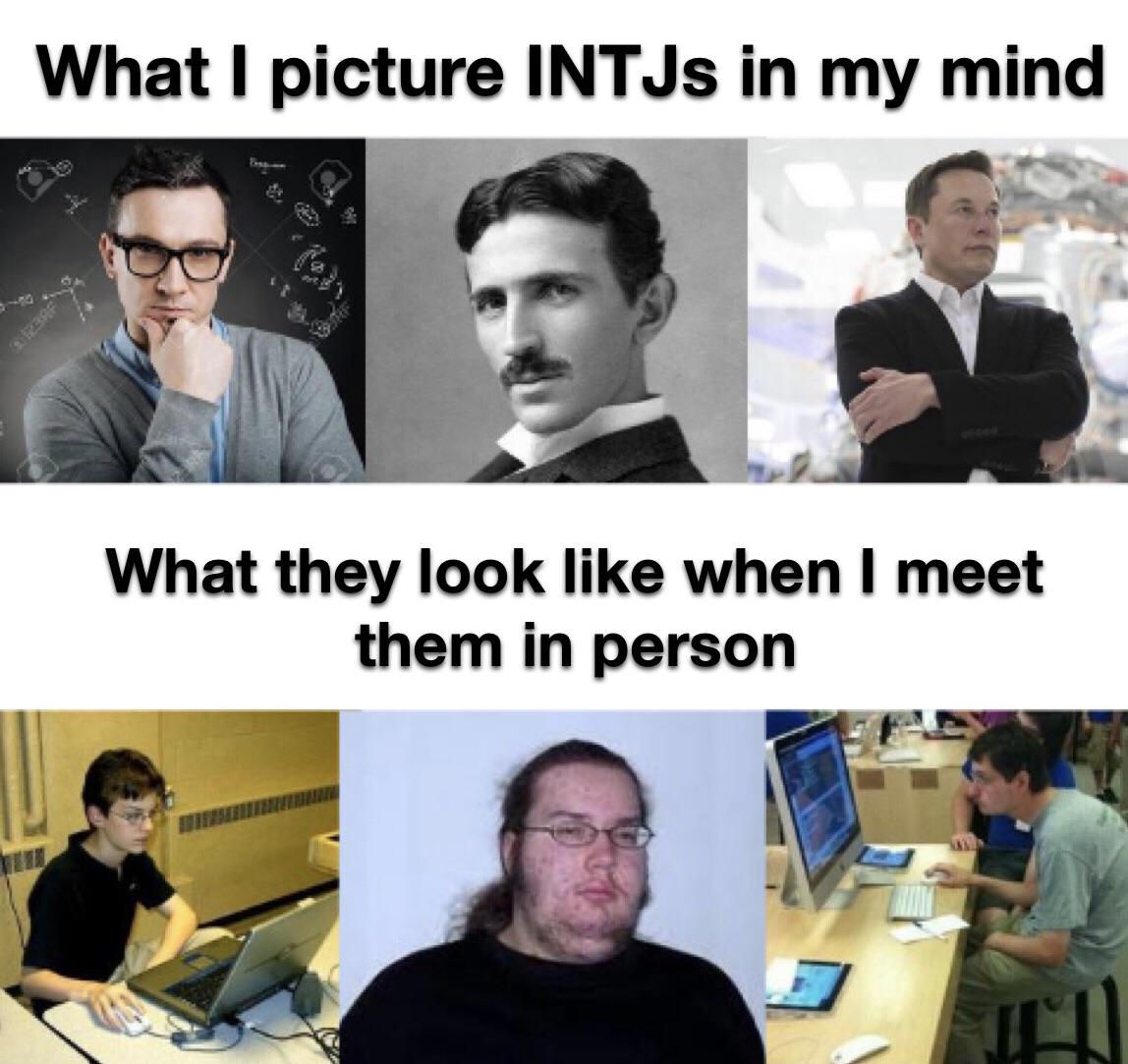 Made one for INTJs | Scrolller
