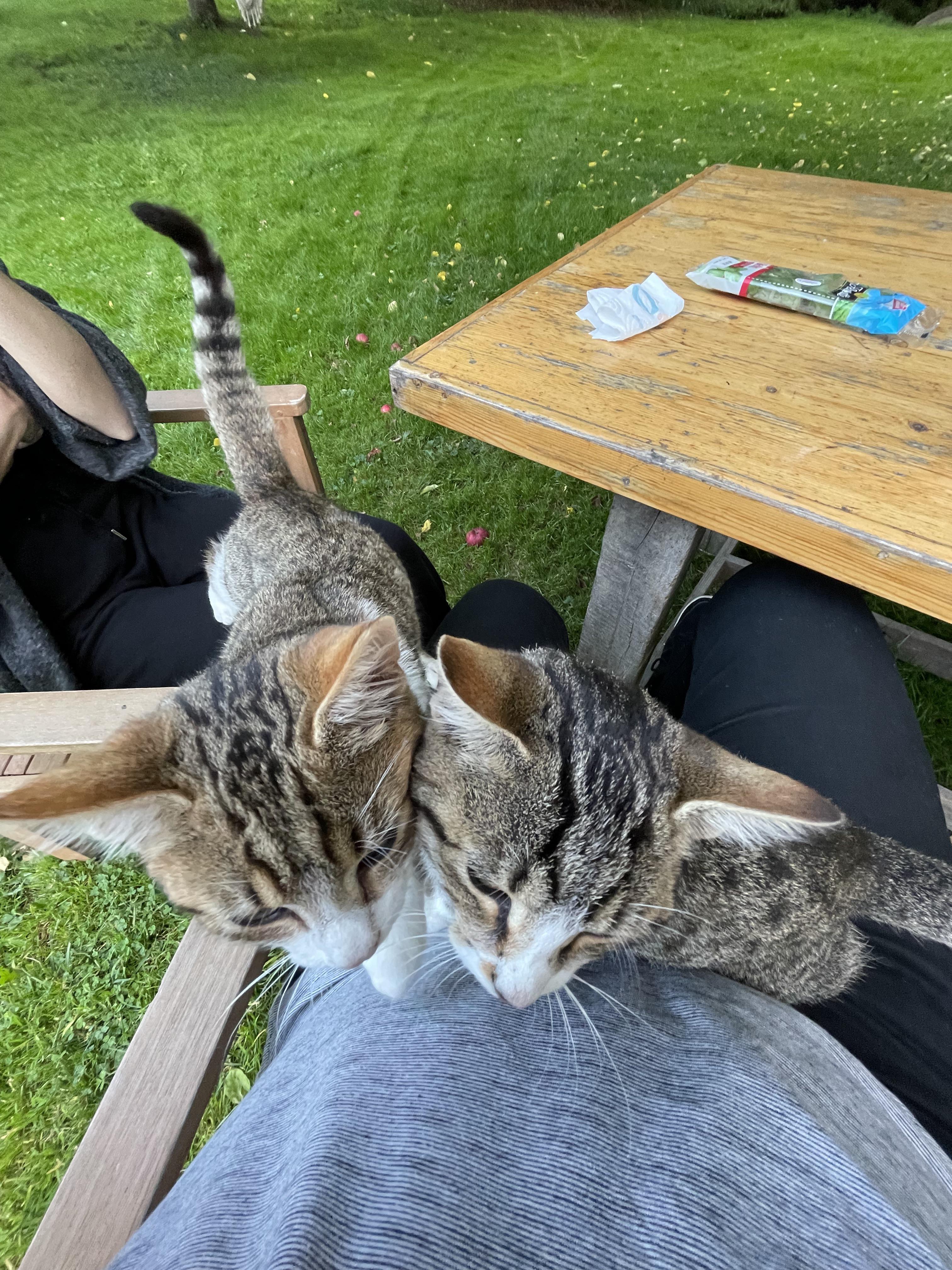 Made two friends on holiday | Scrolller