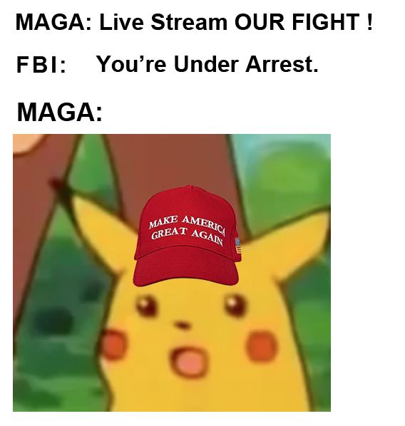 MAGA IQ | Scrolller