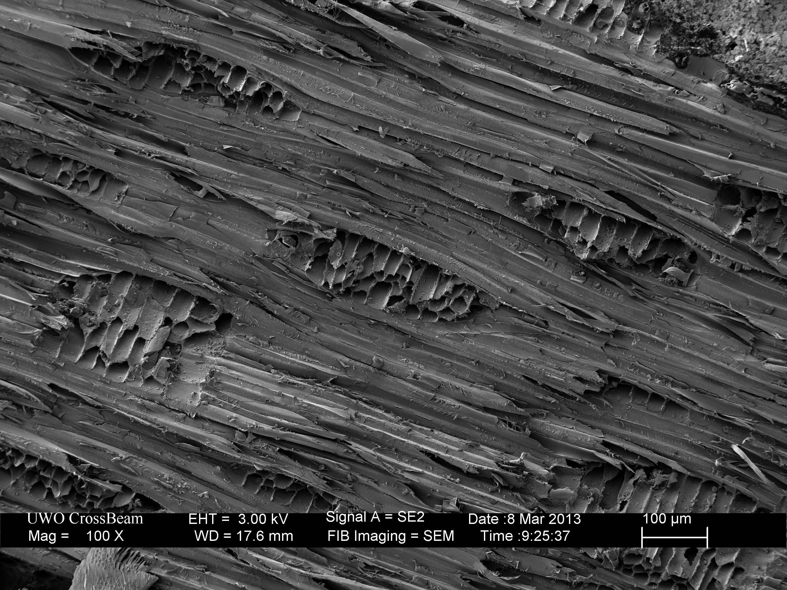 This explains so much | Scrolller