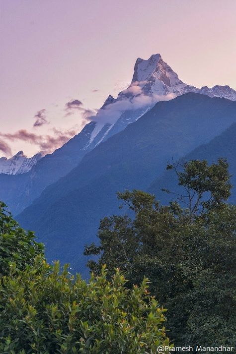 Majestic Fishtail in Ghandruk | Scrolller