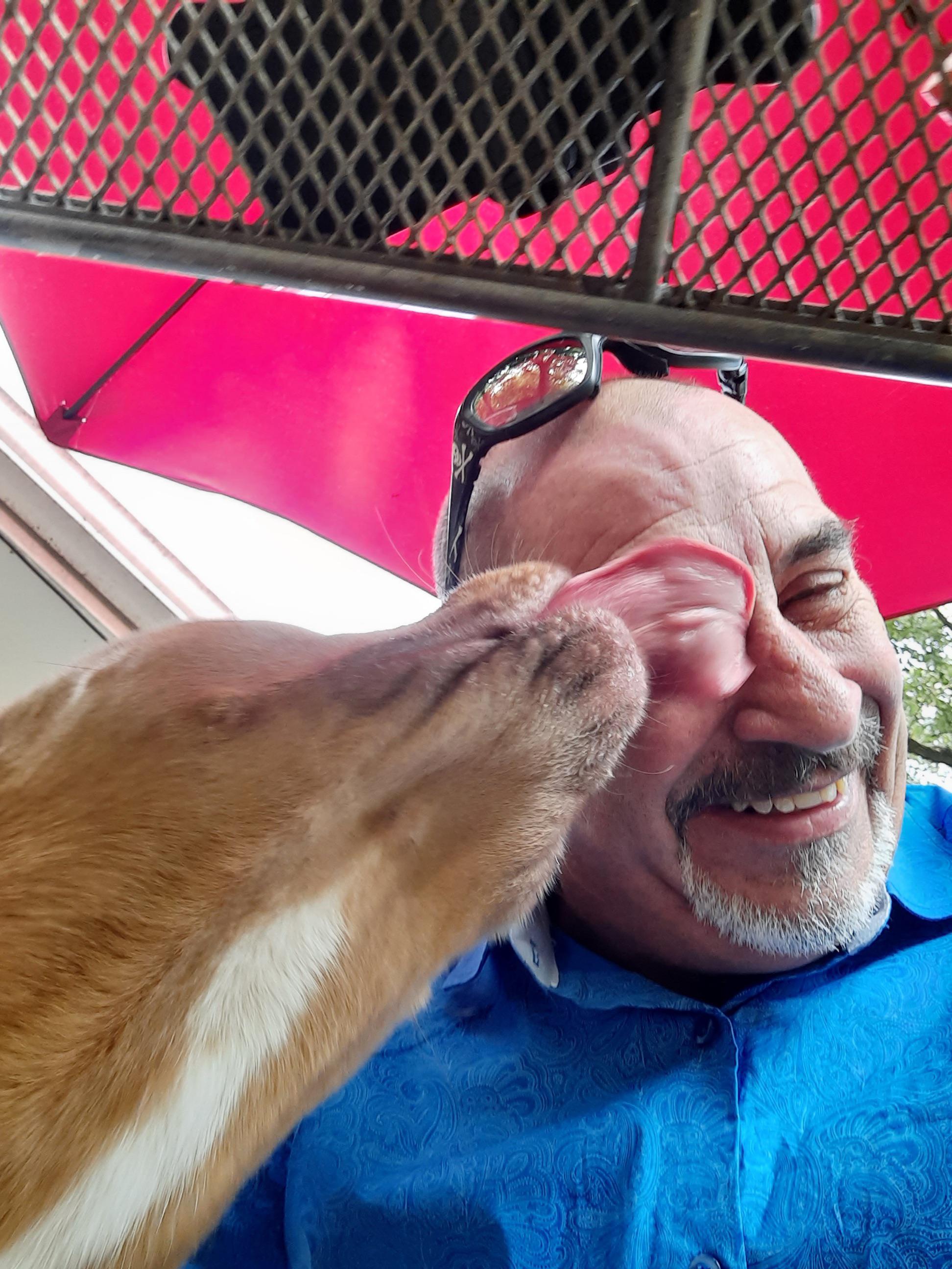 Major likes!! | Scrolller