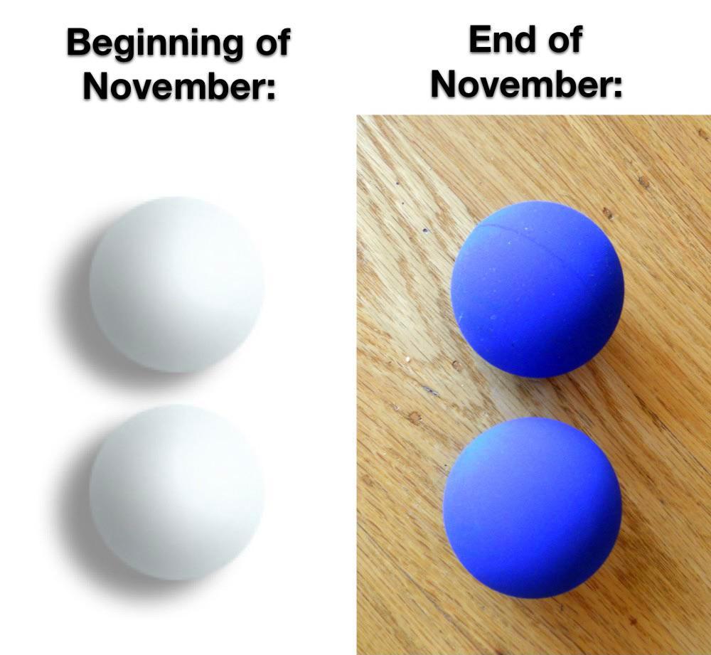 Make. It. Stop. | Scrolller