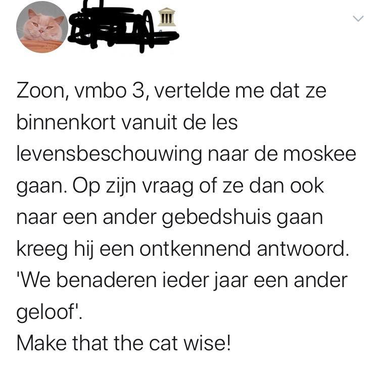 ‘Make that the cat wise!’ | Scrolller