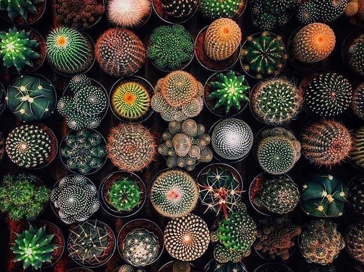 Makes for a great scene! | Scrolller