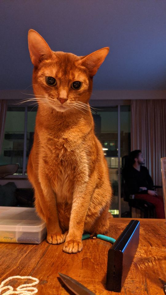 Making that color pop! | Scrolller