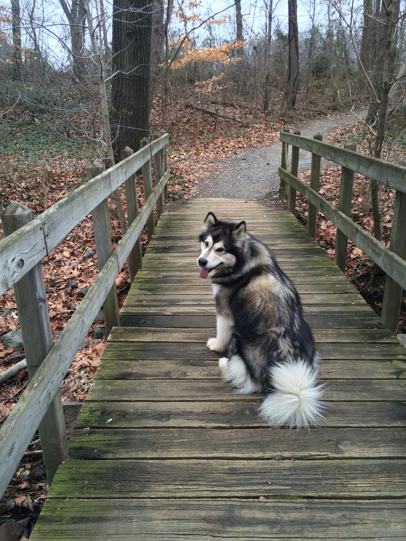 C’mon follow me... | Scrolller