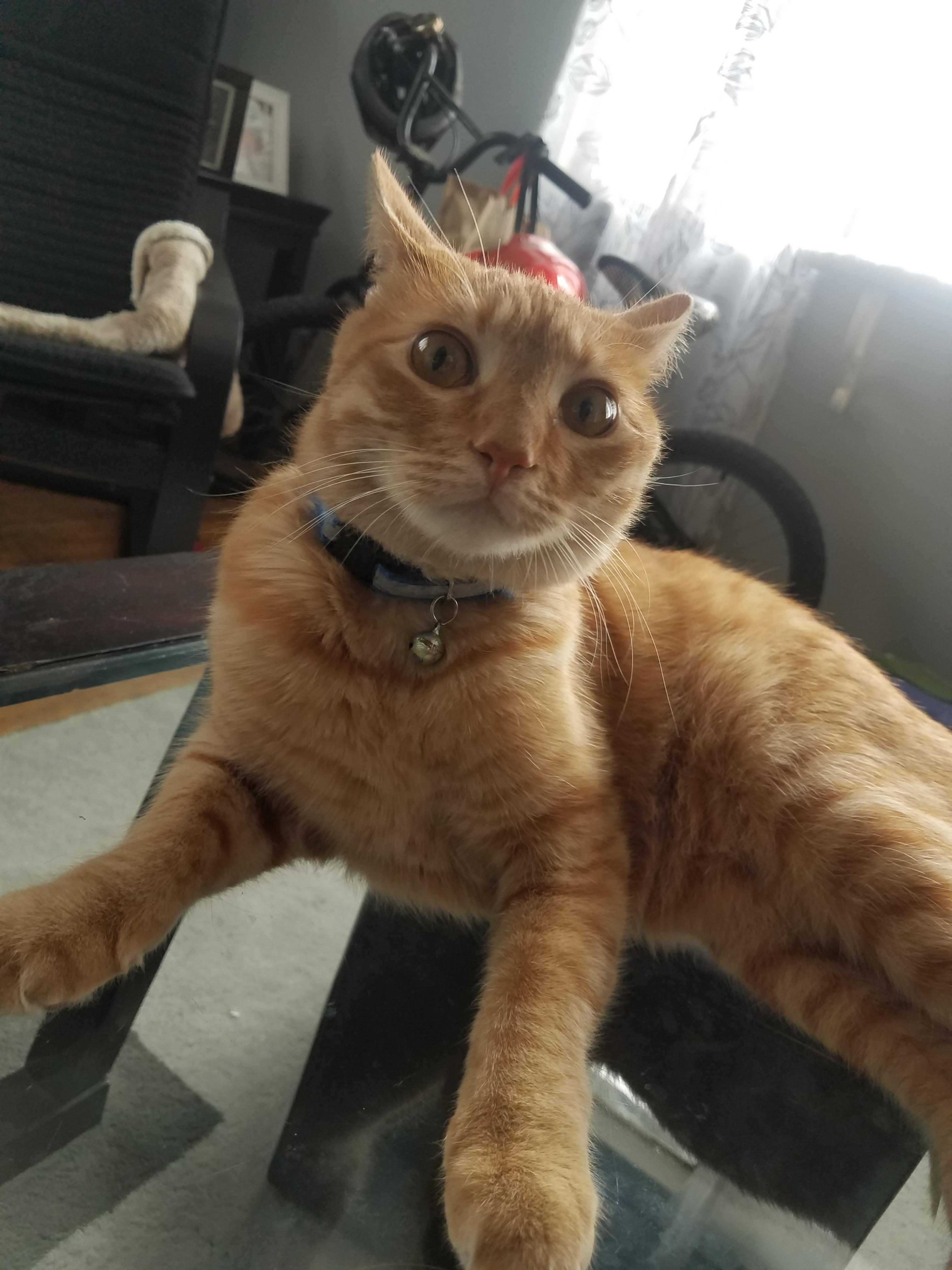 Mama caught me off guard | Scrolller