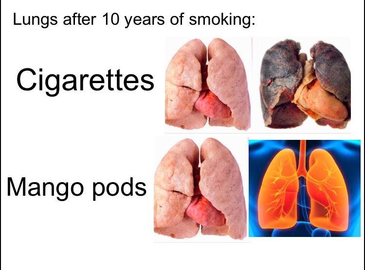 Mango pod lungs | Scrolller