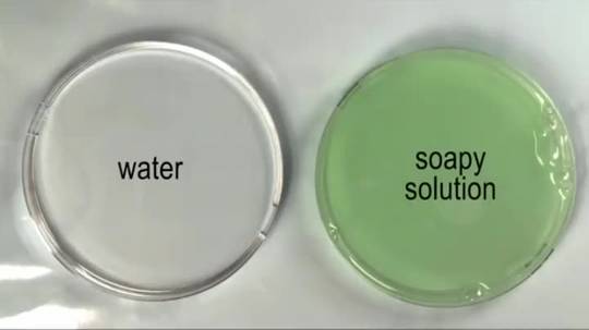 The Marangoni Effect, or why surface tension is awesome | Scrolller