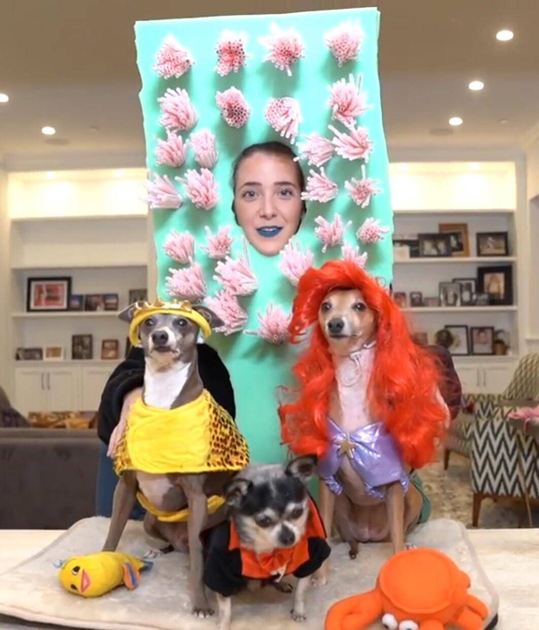 Marbles Family Portrait | Scrolller