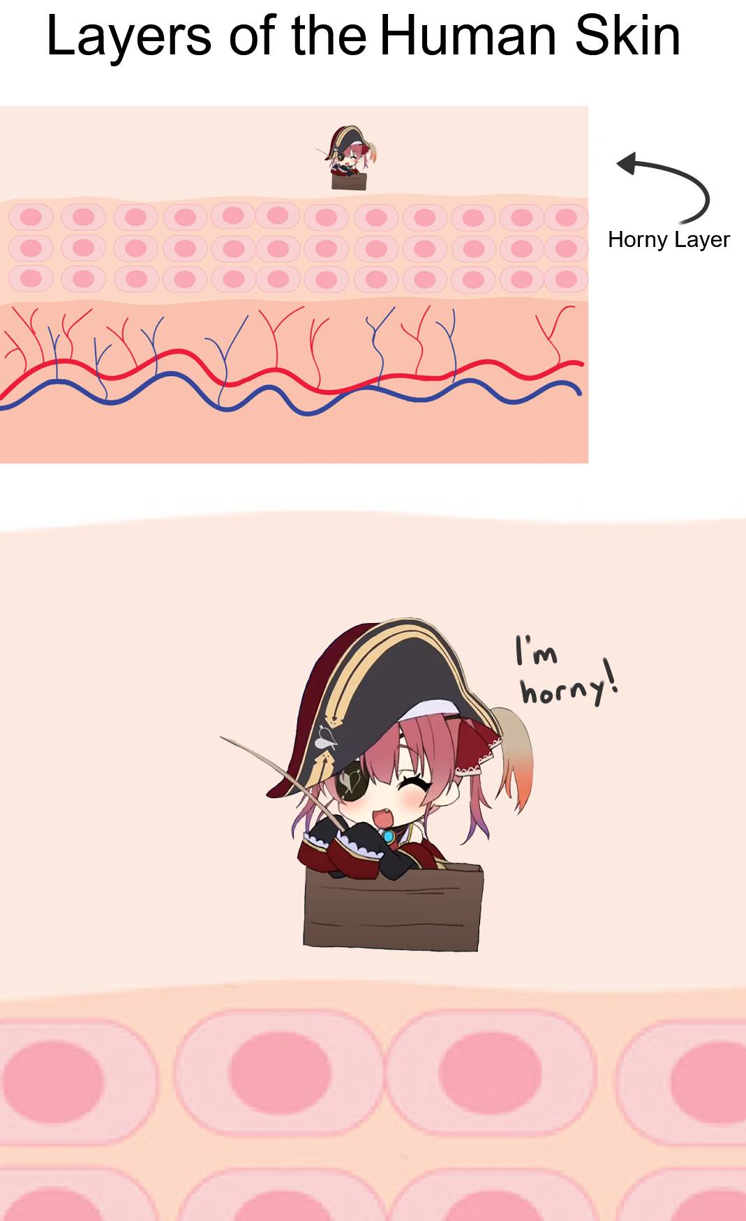 Marine's Perfect Anatomy Lesson | Scrolller