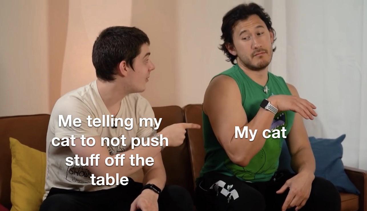 Mark the feline human | Scrolller