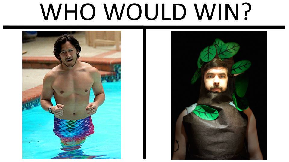 Markmaid VS Tree Jack | Scrolller