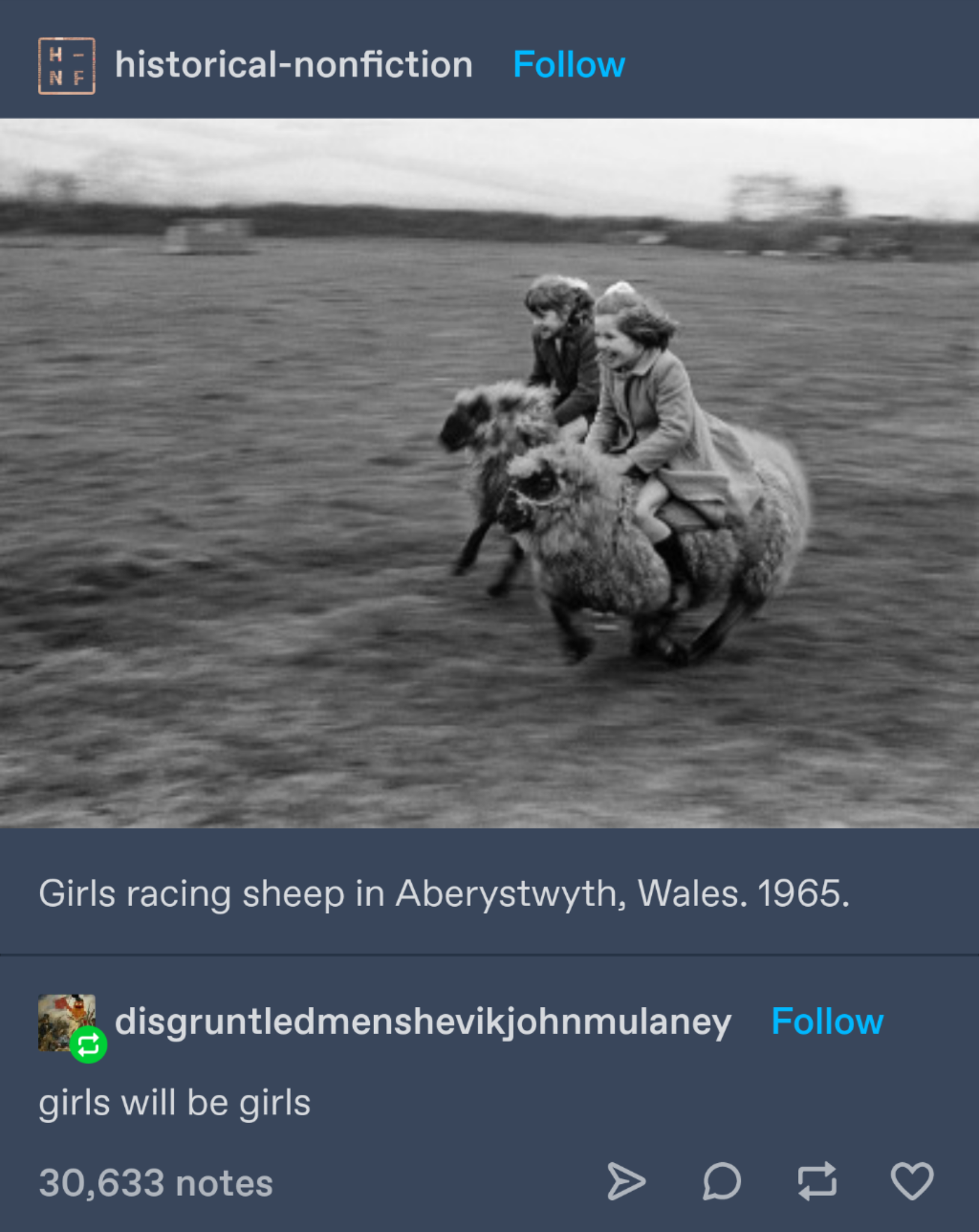 Mary and her little lamb | Scrolller