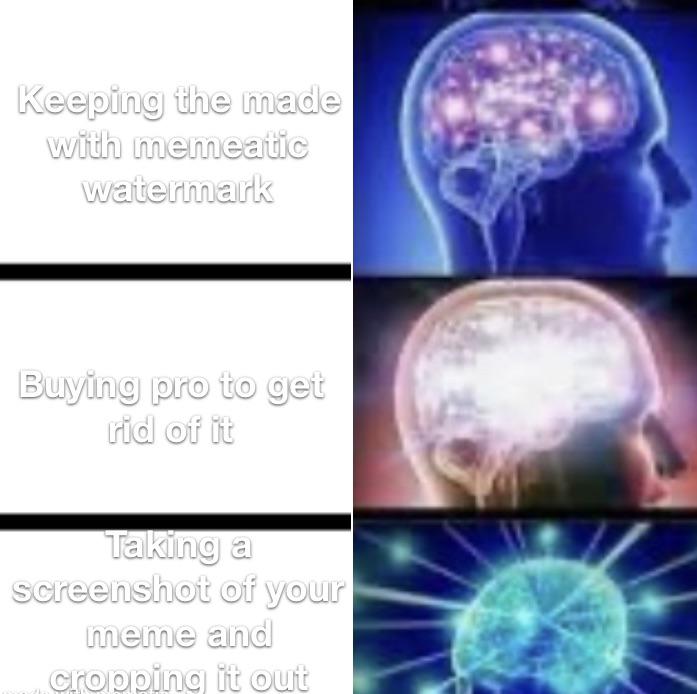 Massive brain | Scrolller