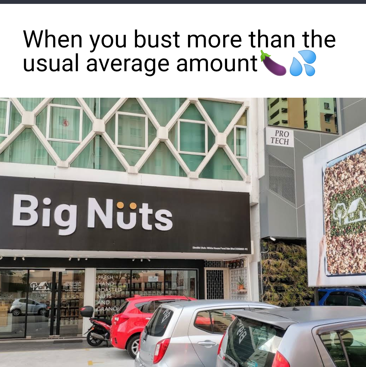 Massive nut load | Scrolller