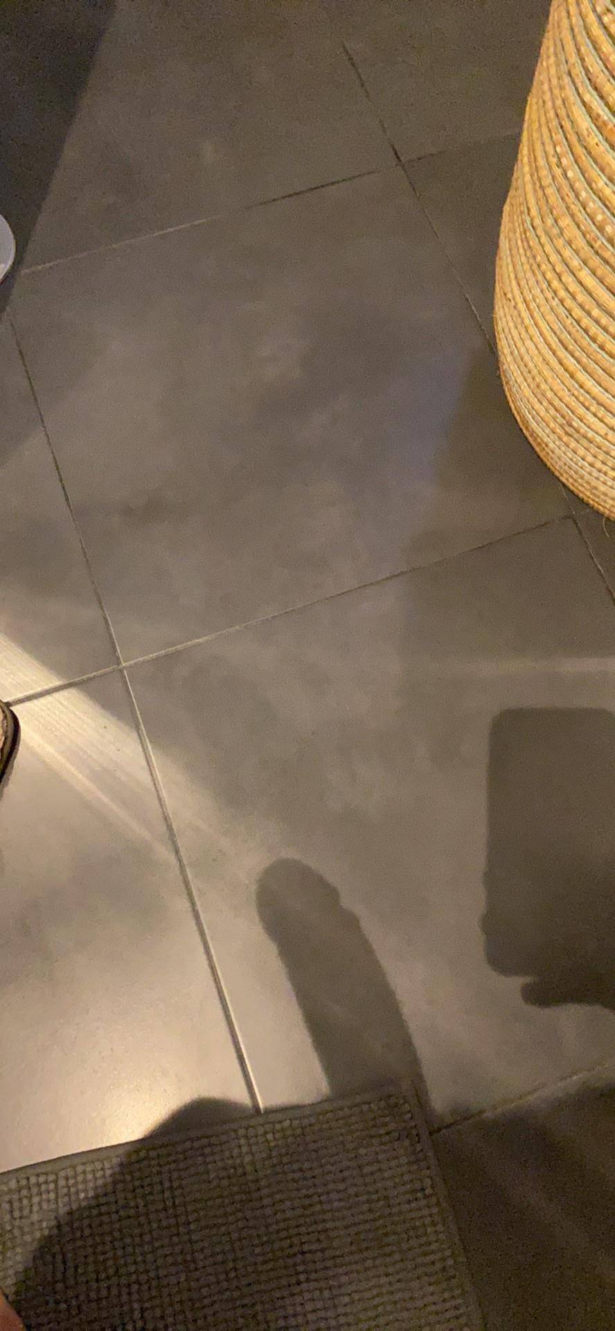 Massive shadow 🍆 | Scrolller