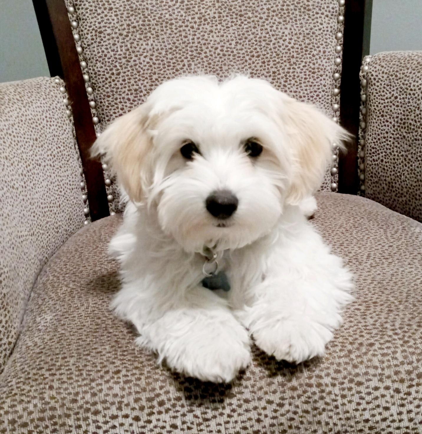 Max at 18 weeks. | Scrolller