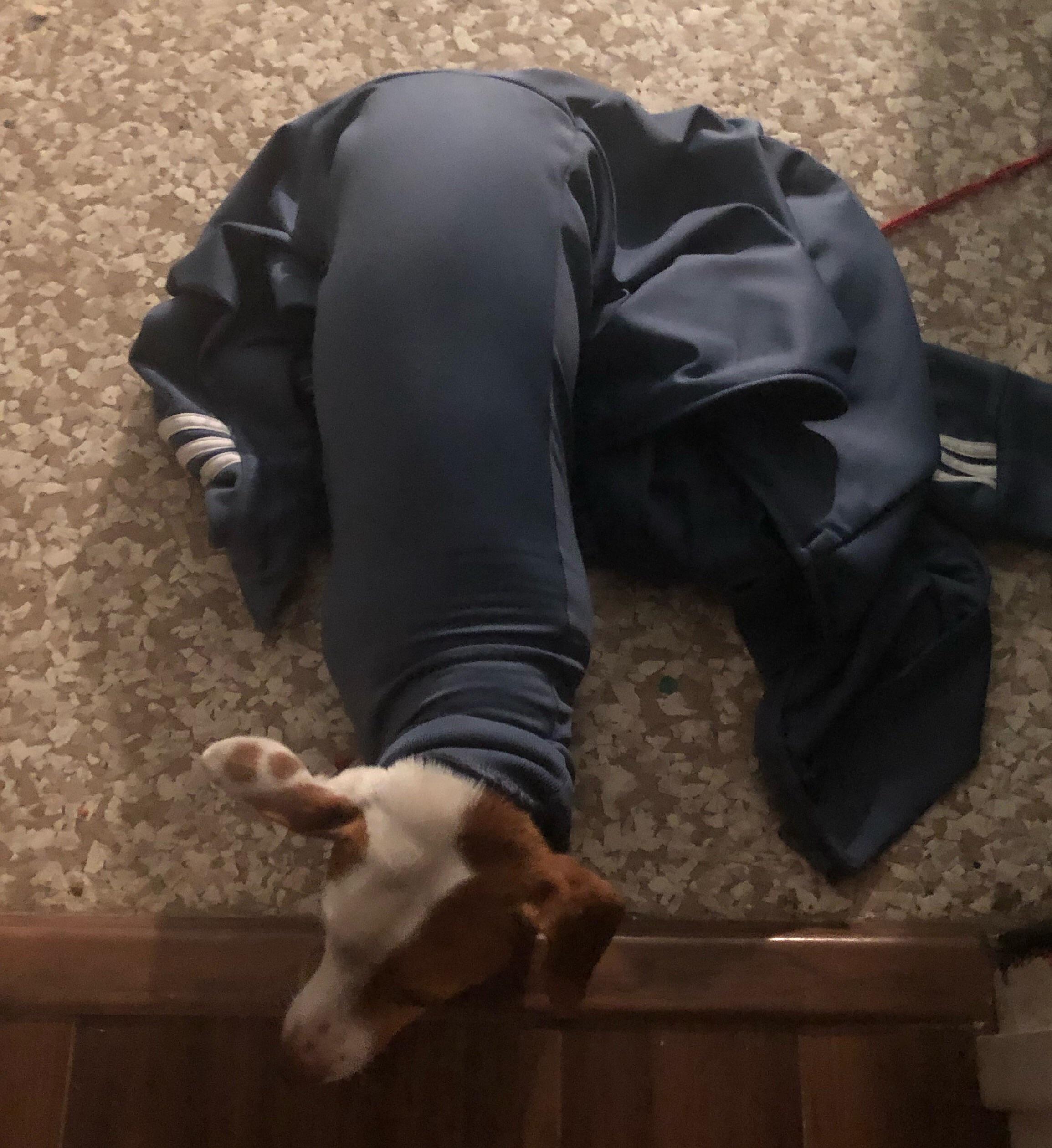 Max wanted to wear my sons jacket. | Scrolller