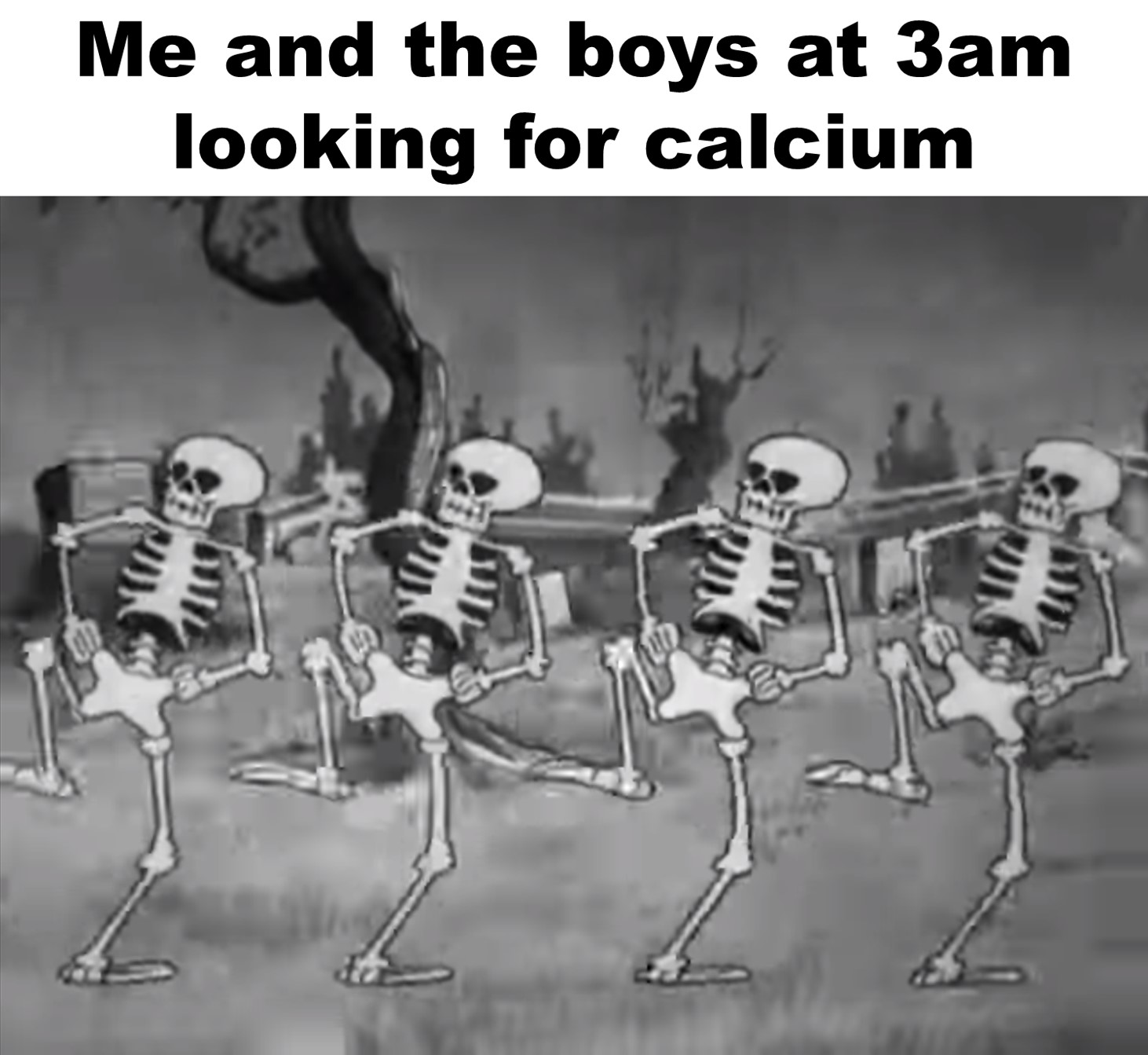 maximum calcium! | Scrolller