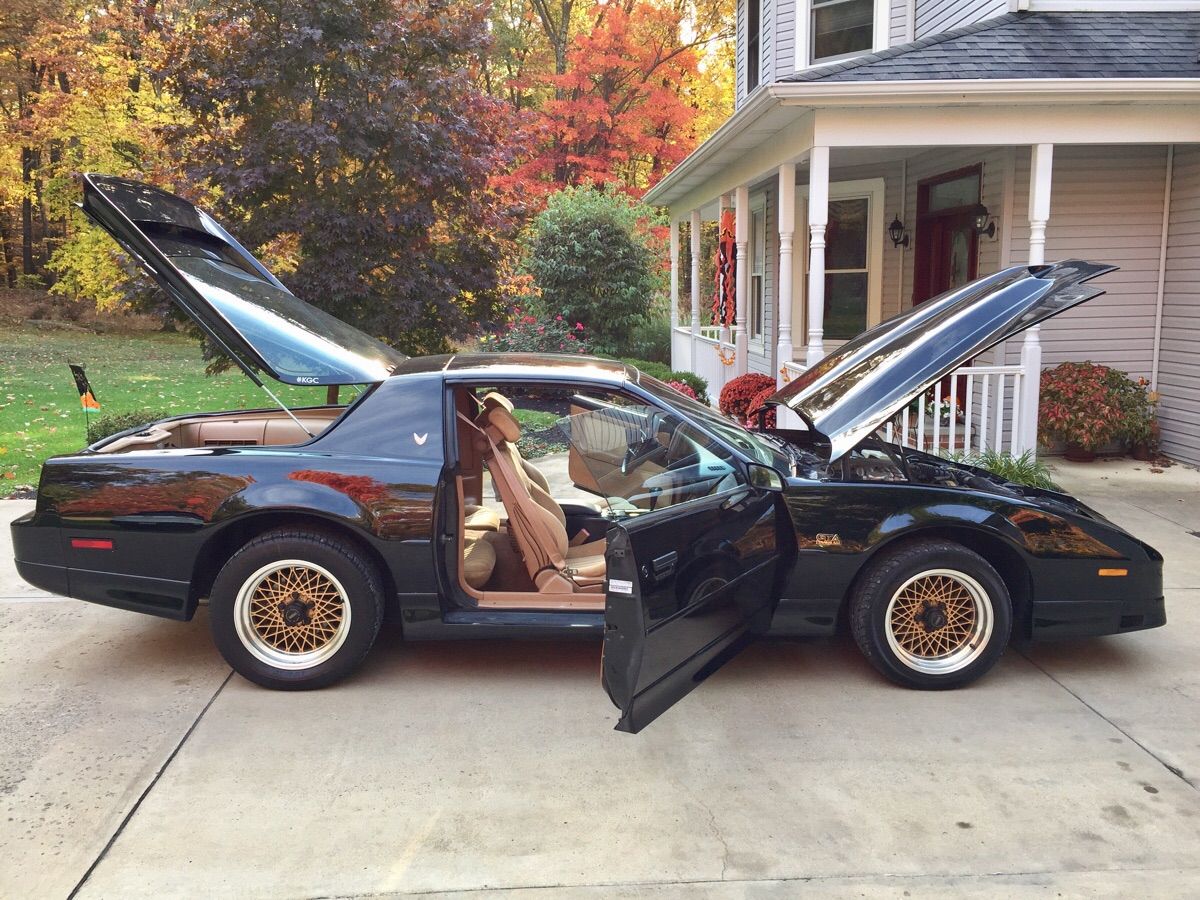 May can't get here soon enough | Scrolller