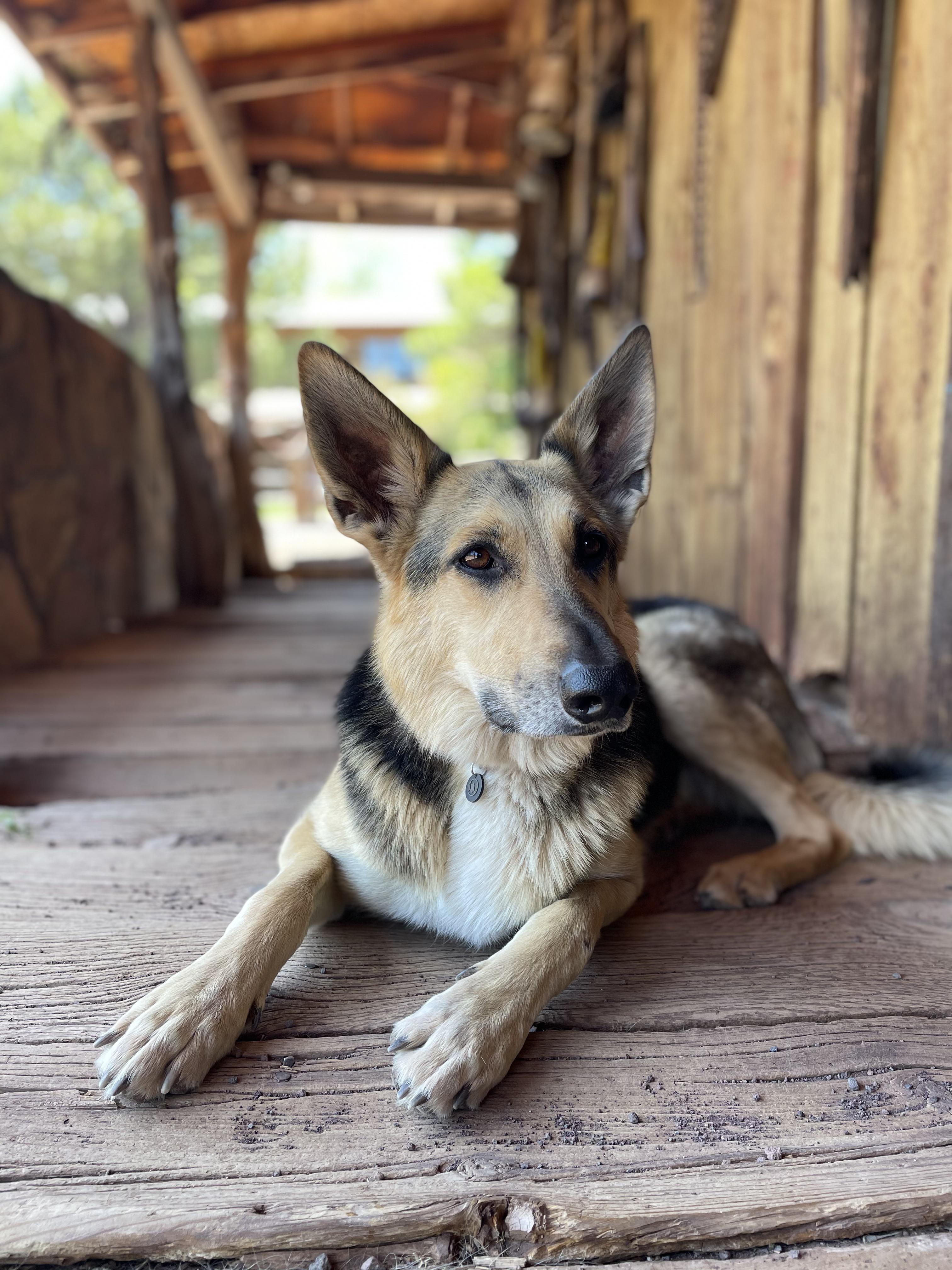 Maya taking a break at work | Scrolller